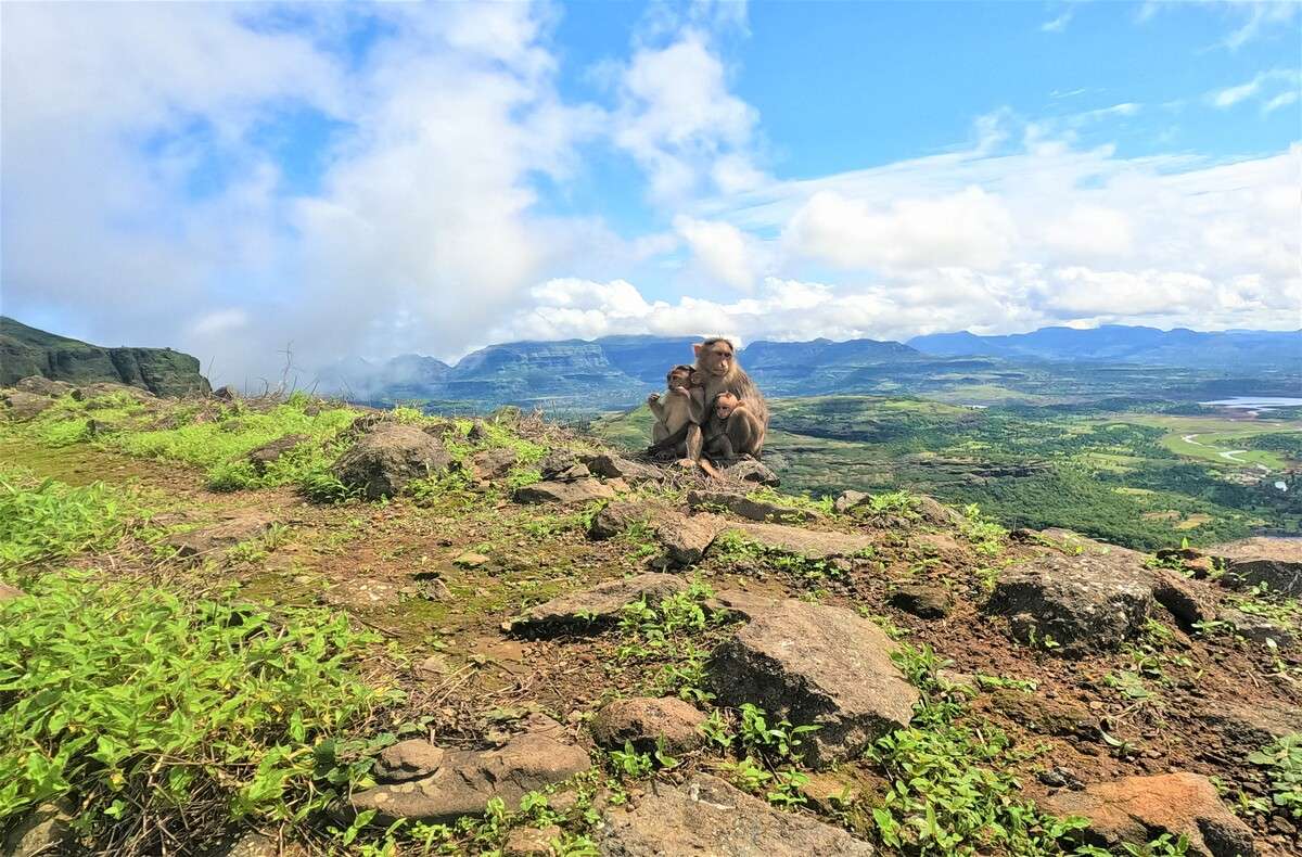 Ratangad Fort Trek (Bhandardara) : Everything You Need To Know - Travel ...